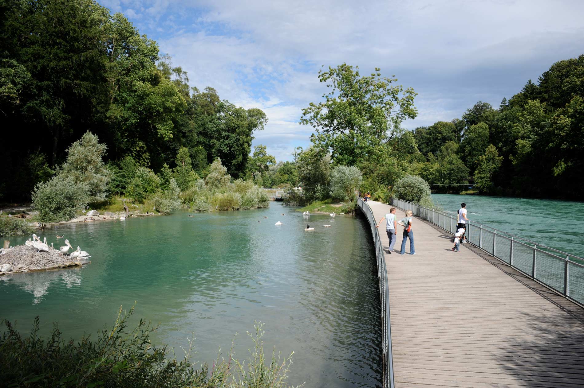 Tierpark Bern | Zooschweiz