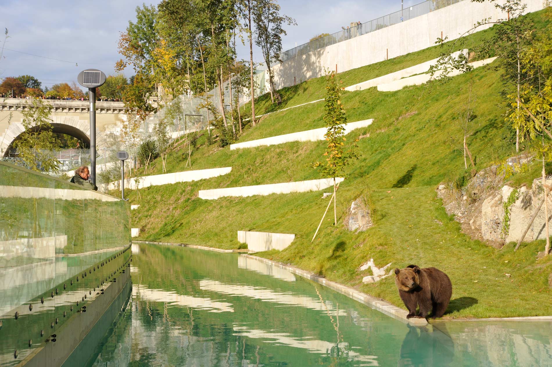 Tierpark Bern | Zooschweiz